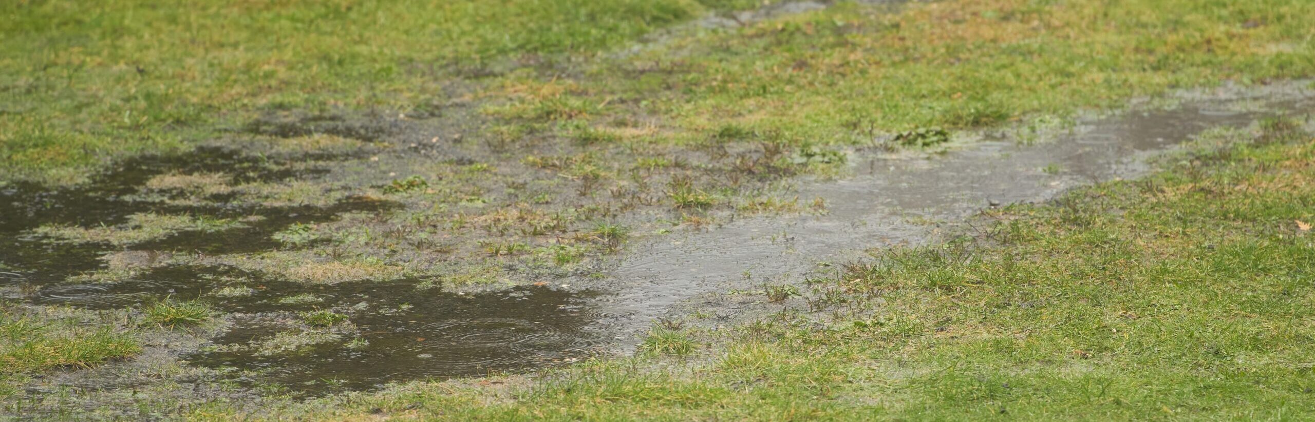 How to Safely Remove Standing Water from Your Home - Rescue Restoration